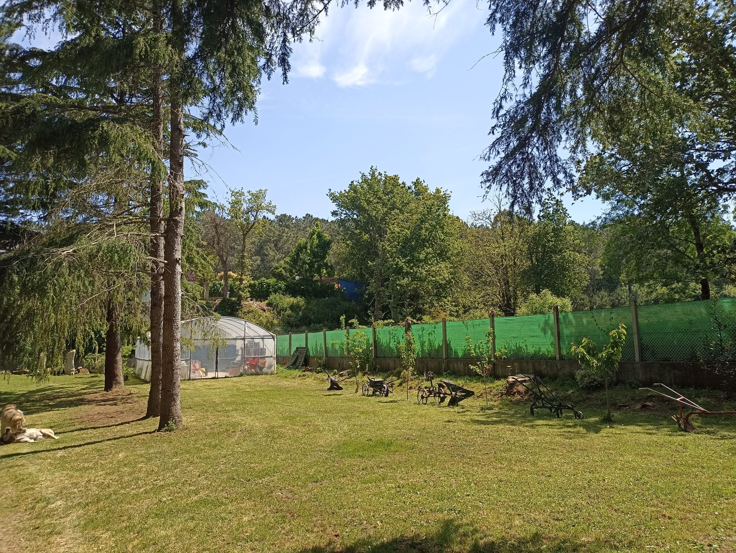 Cabana Monte do Castro